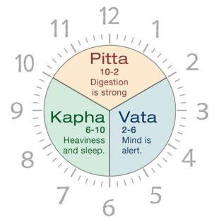 Circadian Rhythms 101 | John Douillard's LifeSpa