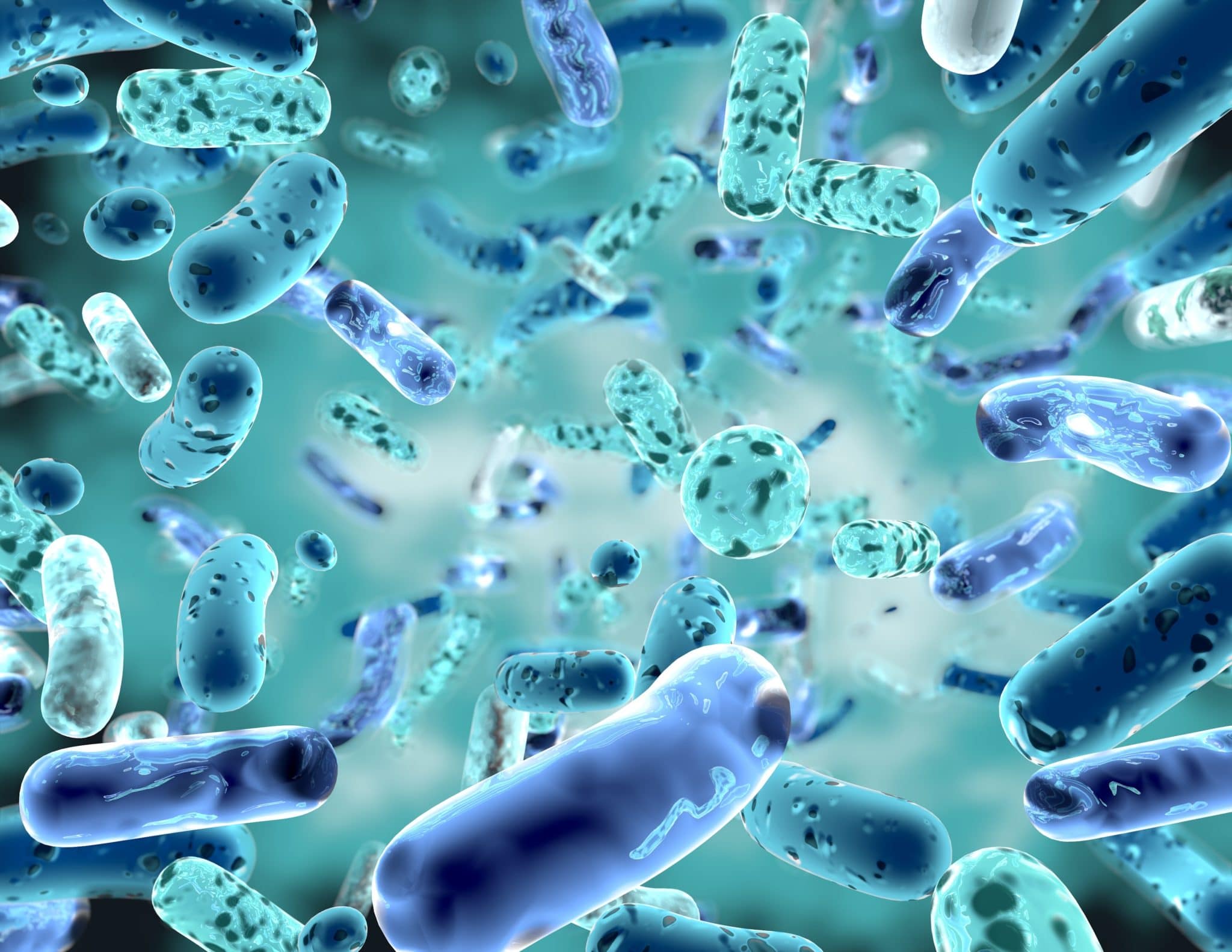 4-Step Prebiotic and Probiotic Protocol for a Healthy Microbiome | John ...