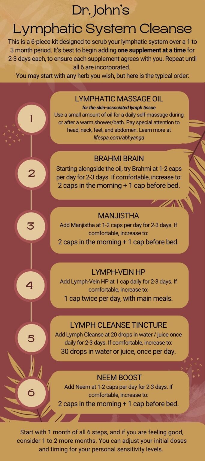 Podcast Episode 156: Lymphatic System Question + Answer Session | John ...