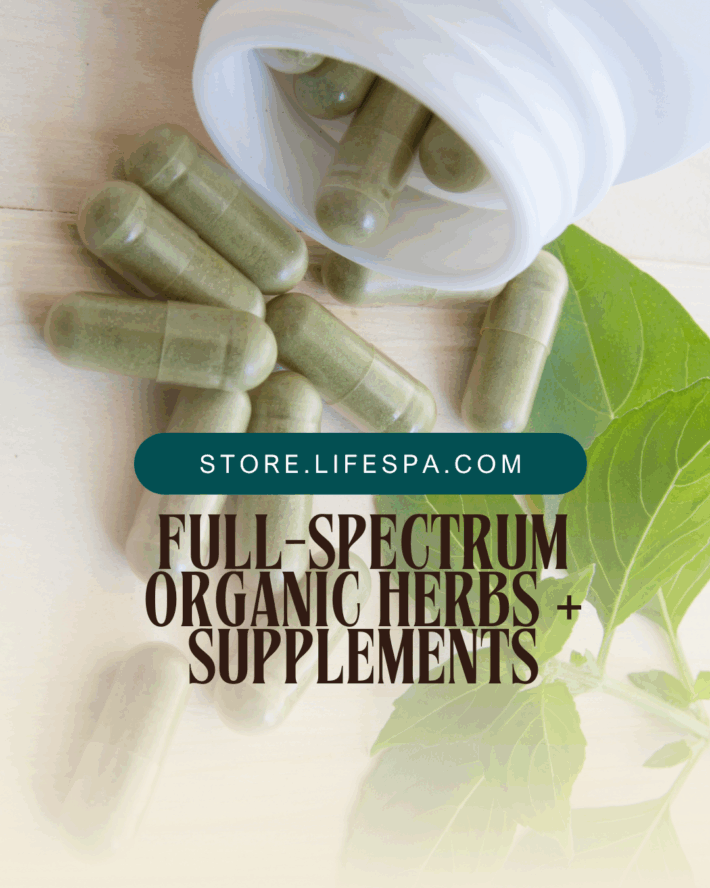 Welcome to LifeSpa | John Douillard's LifeSpa